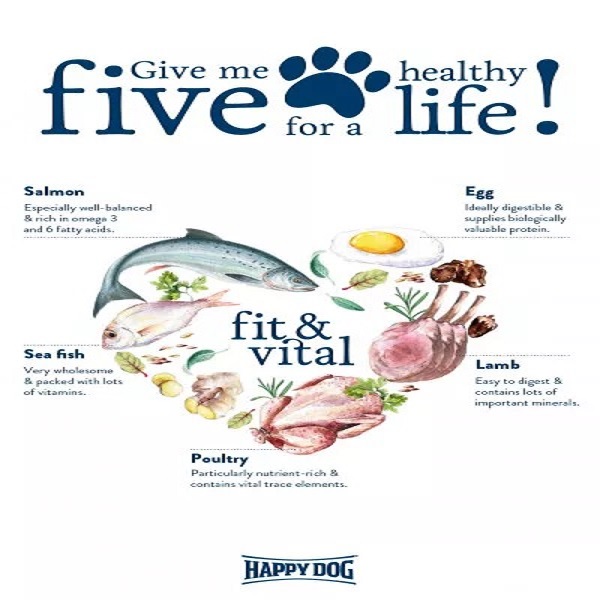 قیمت و خرید غذای خشک سگ هپی داگ مینی لایت Happy Dog Mini light